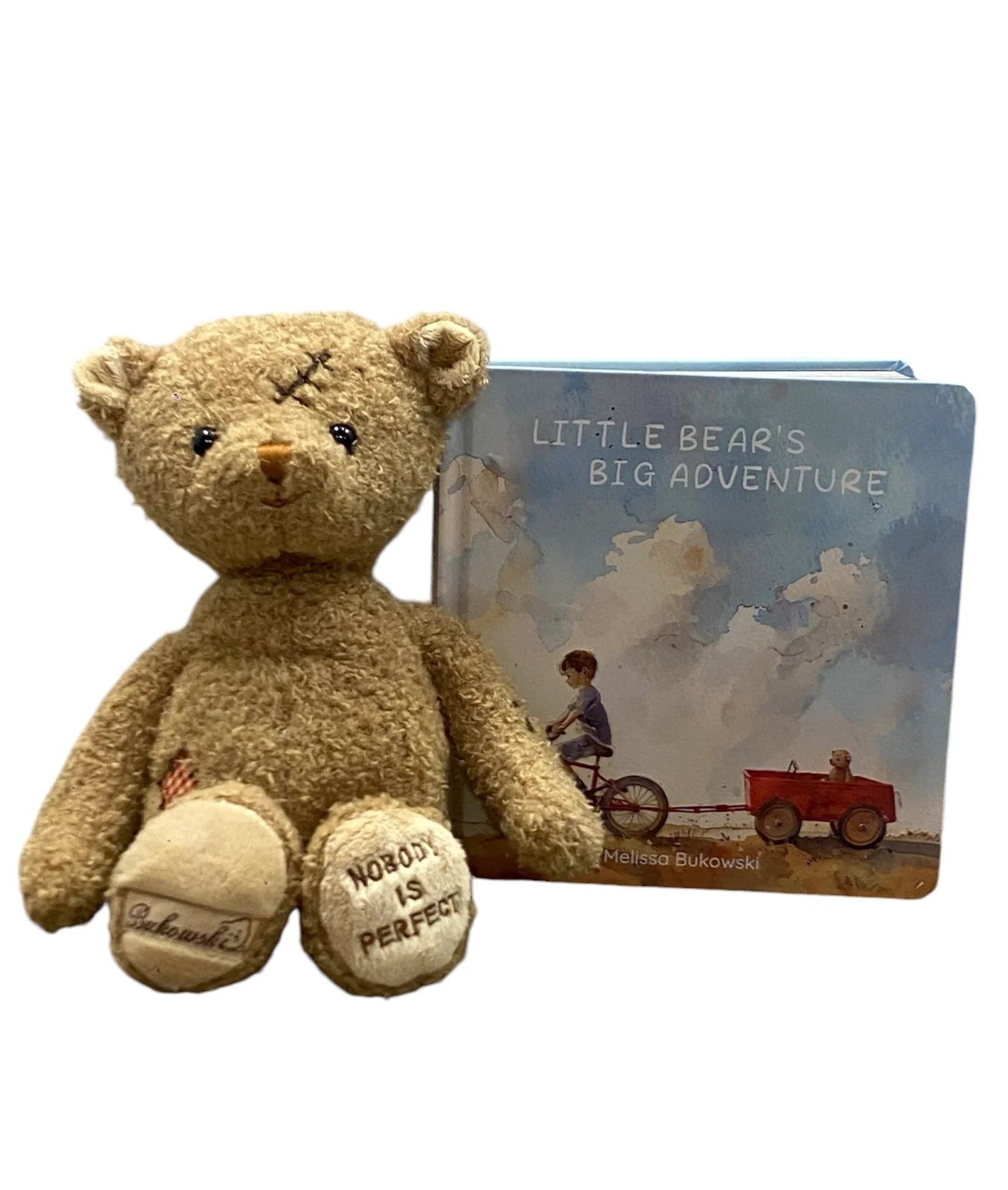 Little Bear's Big Adventure Book